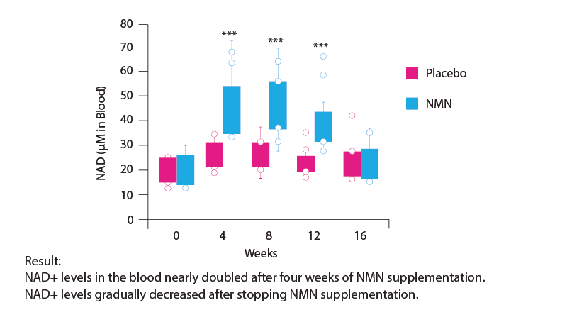 Zeleb+ NMN by Ernie Zakri